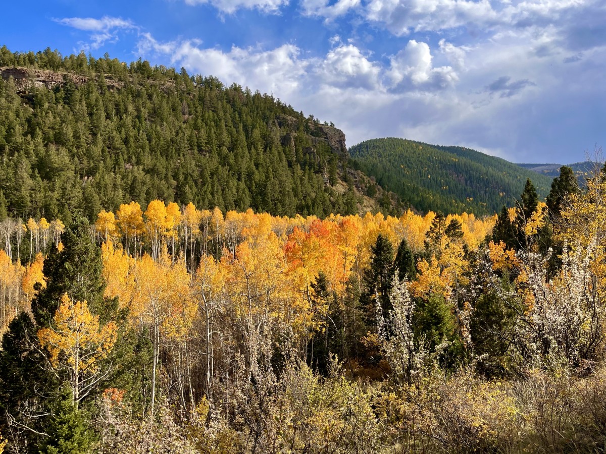 Easy Walks and Stunning Drives in Southwest Colorado: Especially Good ...