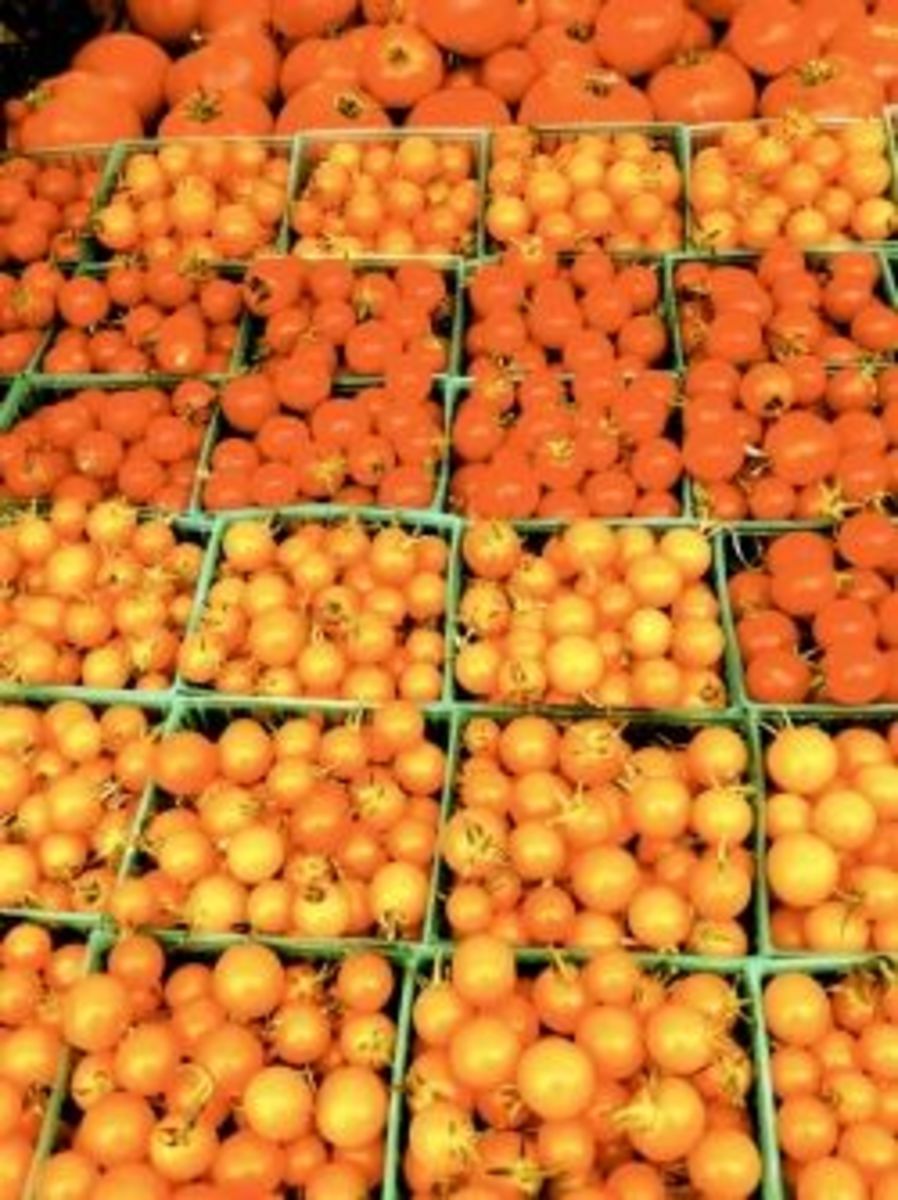 Your Ultimate Italian Pantry: Olive Oil, Pasta, Tomatoes & More - HubPages