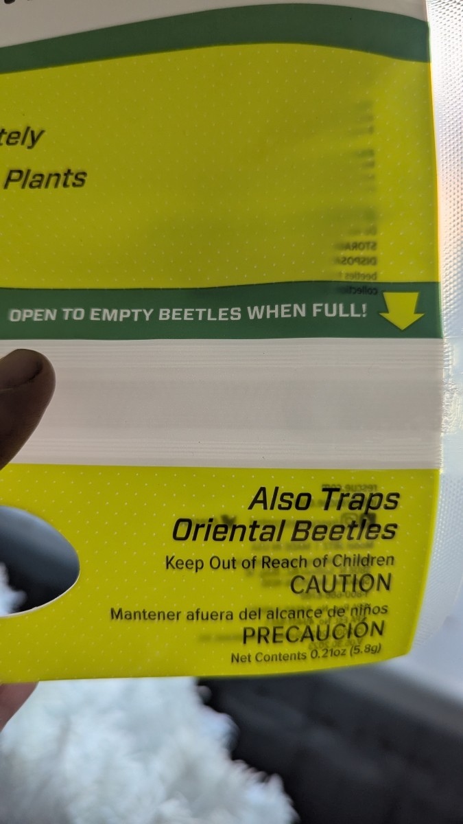 Japanese Beetle Traps - What Works, What Does Not. - HubPages