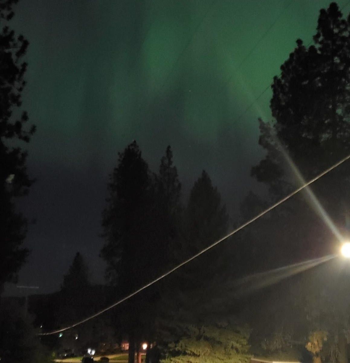 Too Much Like Home - HubPages