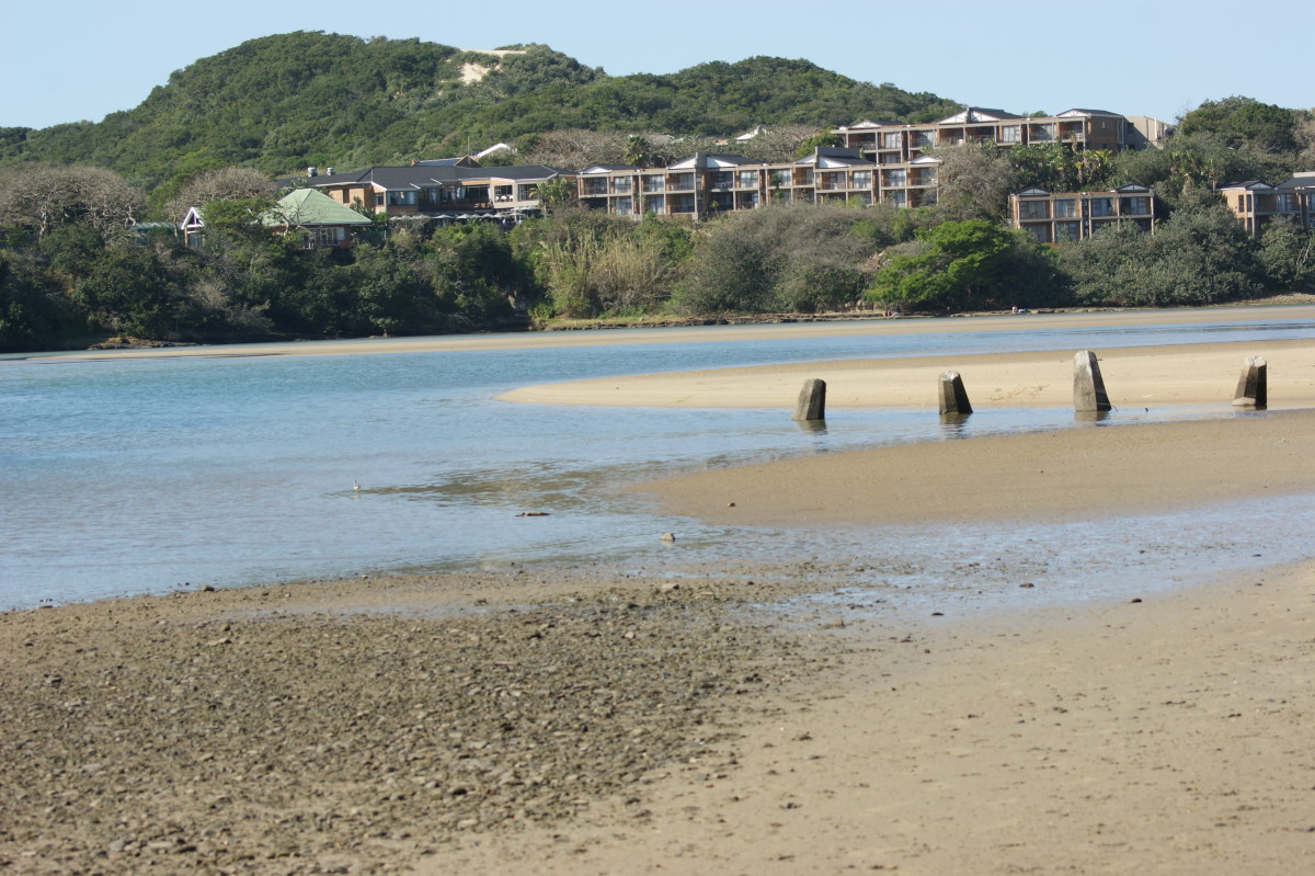 Birding the Nahoon River in Winter. - HubPages