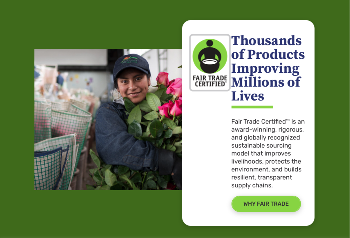 Best Websites to Search for Eco-Friendly Products Online - HubPages
