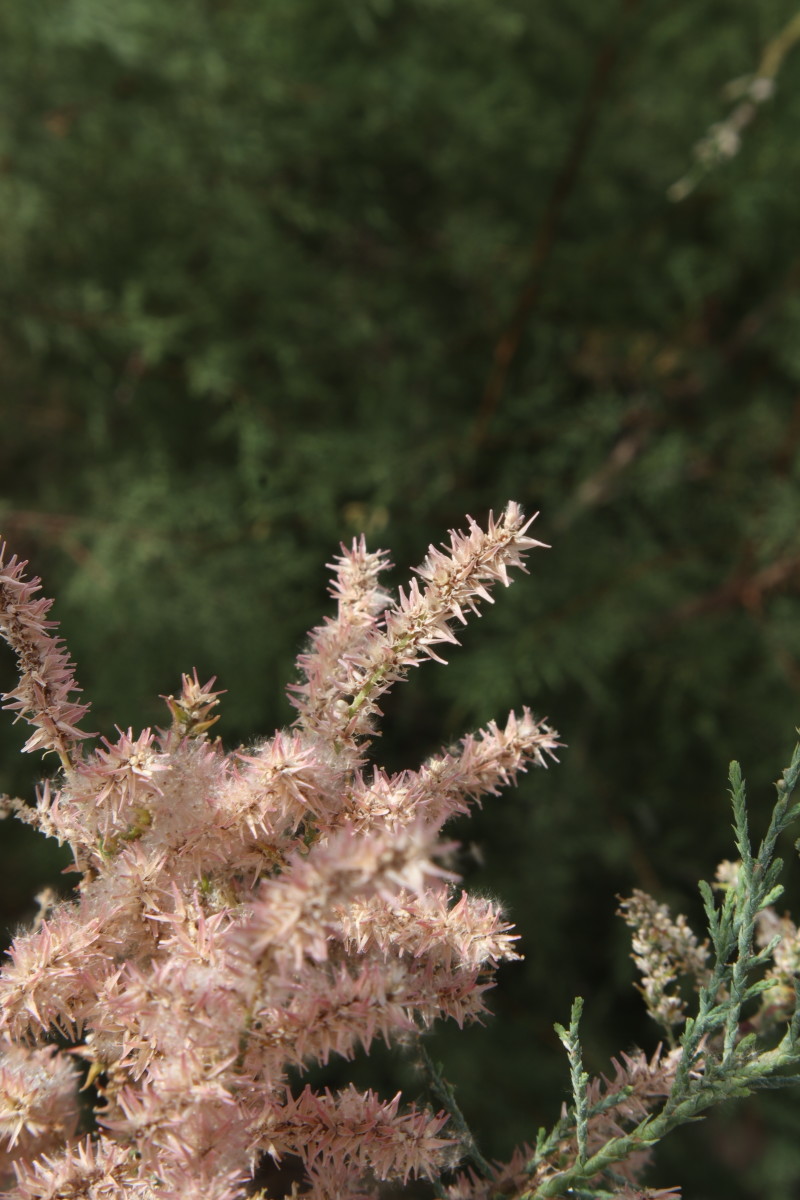 God's Chosen People - HubPages