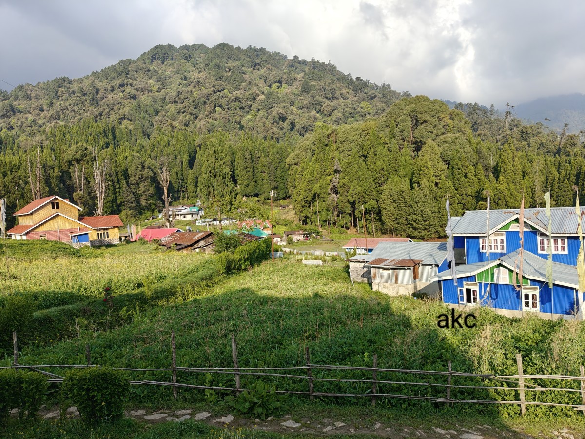 Yeti Stone of Samanden, Darjeeling, West Bengal, India - HubPages