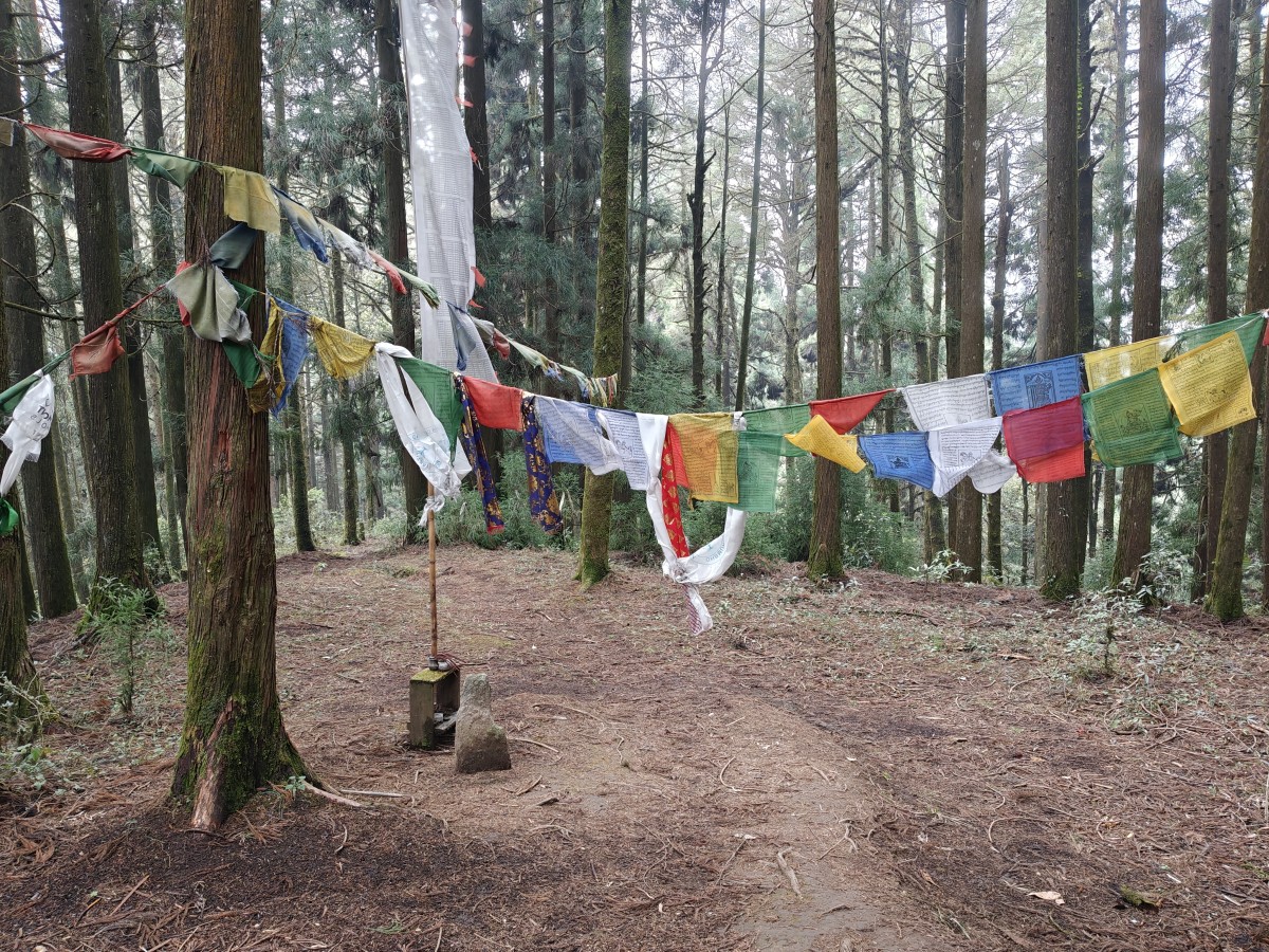 Yeti Stone of Samanden, Darjeeling, West Bengal, India - HubPages