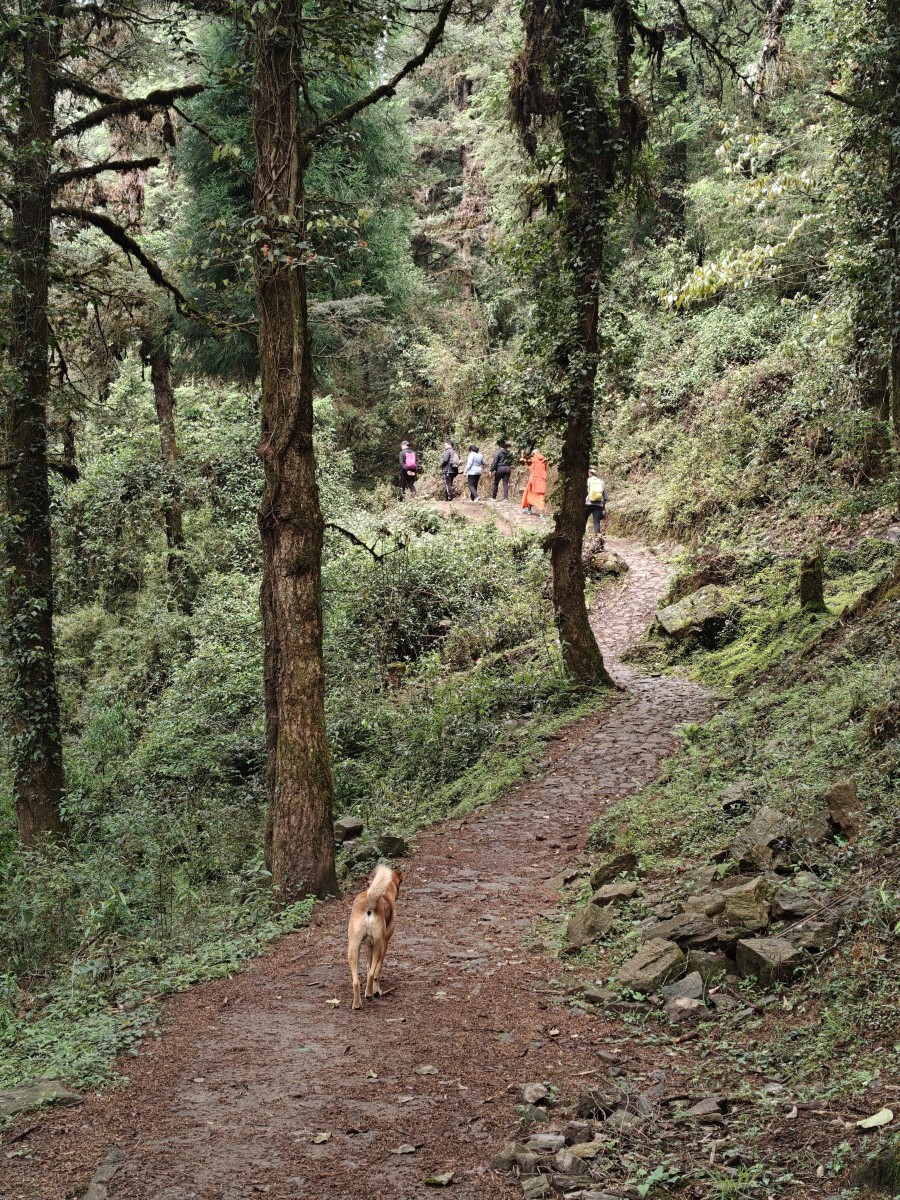 Yeti Stone of Samanden, Darjeeling, West Bengal, India - HubPages