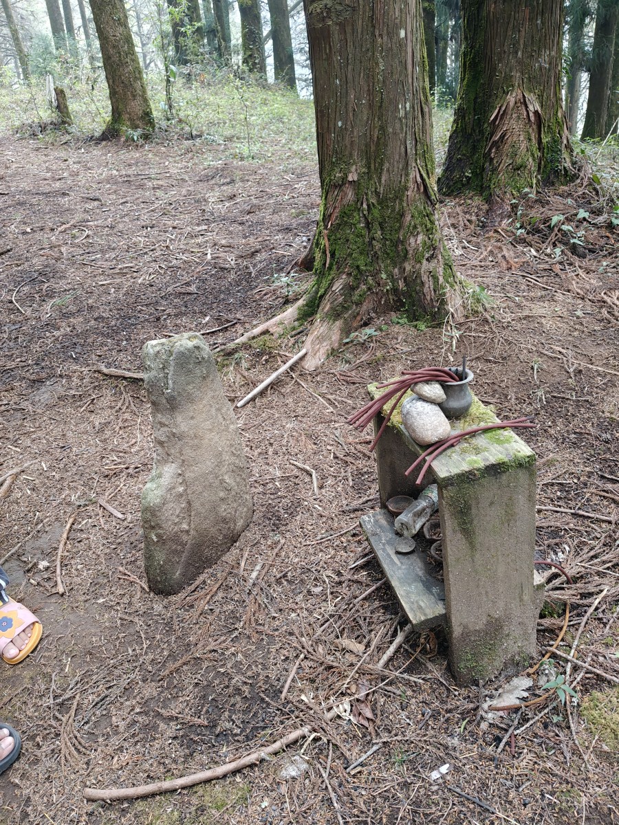 Yeti Stone of Samanden, Darjeeling, West Bengal, India - HubPages
