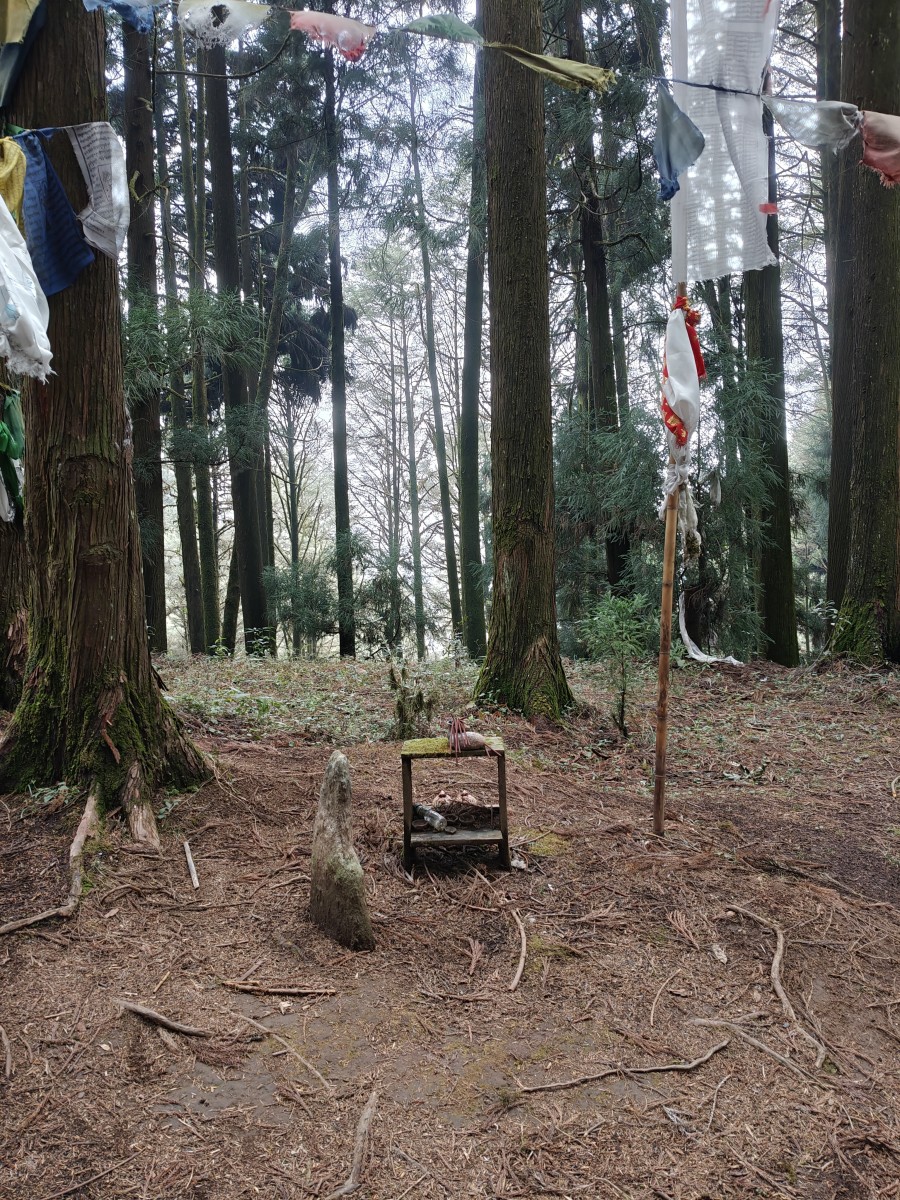 Yeti Stone of Samanden, Darjeeling, West Bengal, India - HubPages
