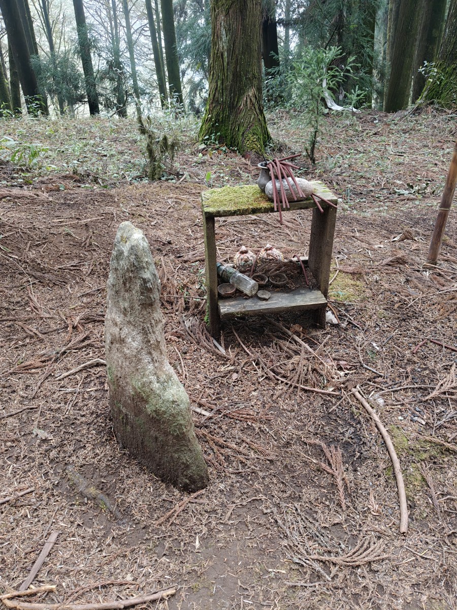 Yeti Stone of Samanden, Darjeeling, West Bengal, India - HubPages