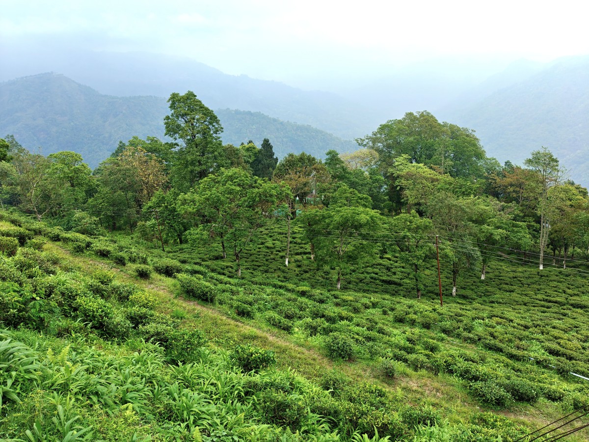 Cave Shrine of Lord Shiva, Rammam, Darjeeling district, West Bengal ...