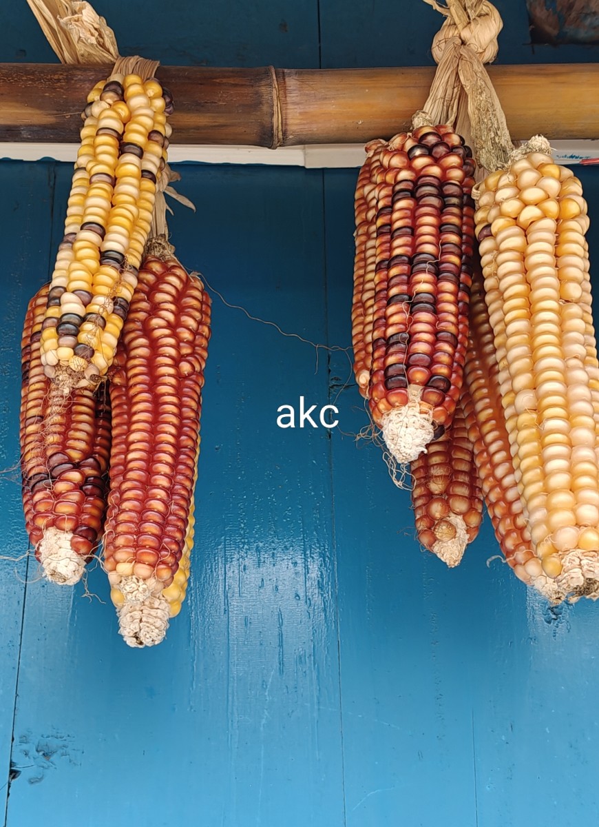Cave Shrine of Lord Shiva, Rammam, Darjeeling district, West Bengal ...