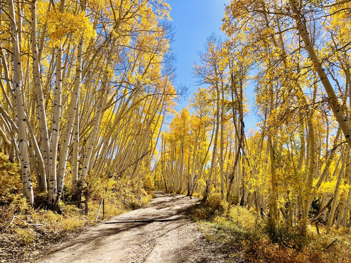 Easy Walks and Stunning Drives in Southwest Colorado: Especially Good ...