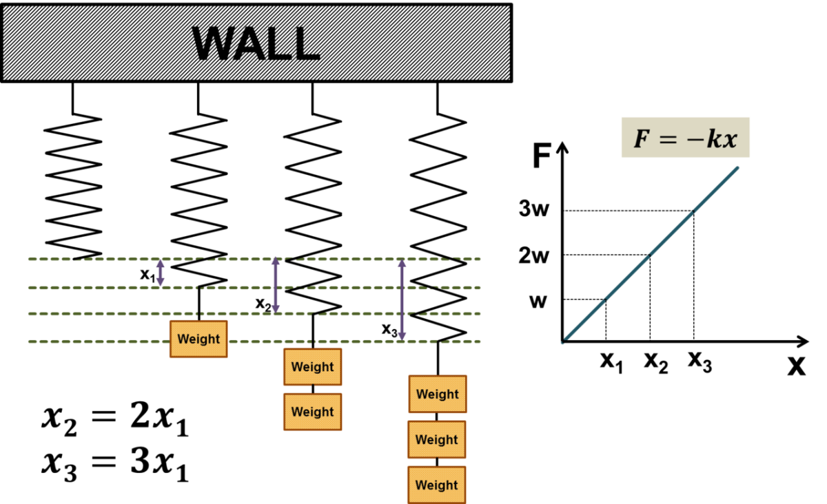 Hooke’s Law of Elasticity: Understanding Springs and Stretch - HubPages