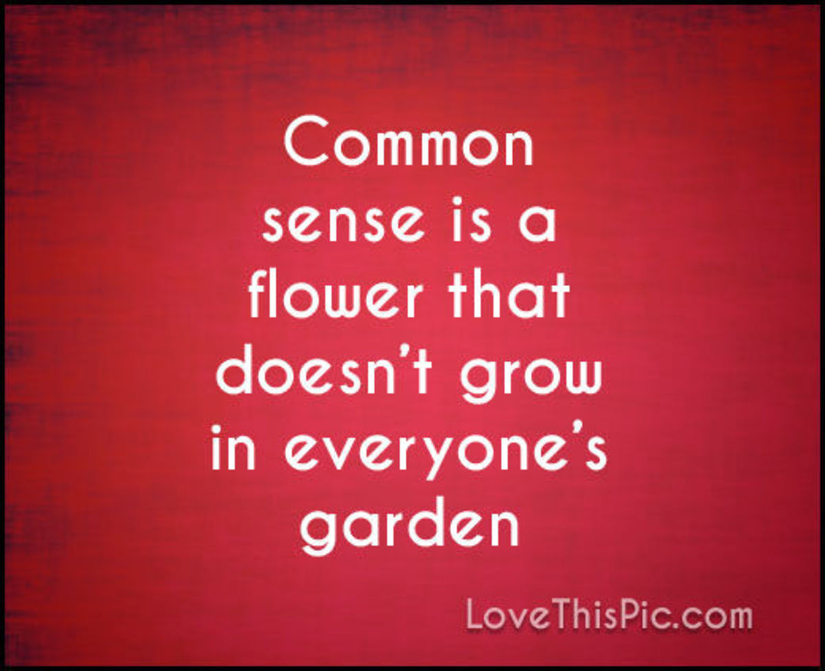 Common Sense Sayings, Quotes and Proverbs - HubPages