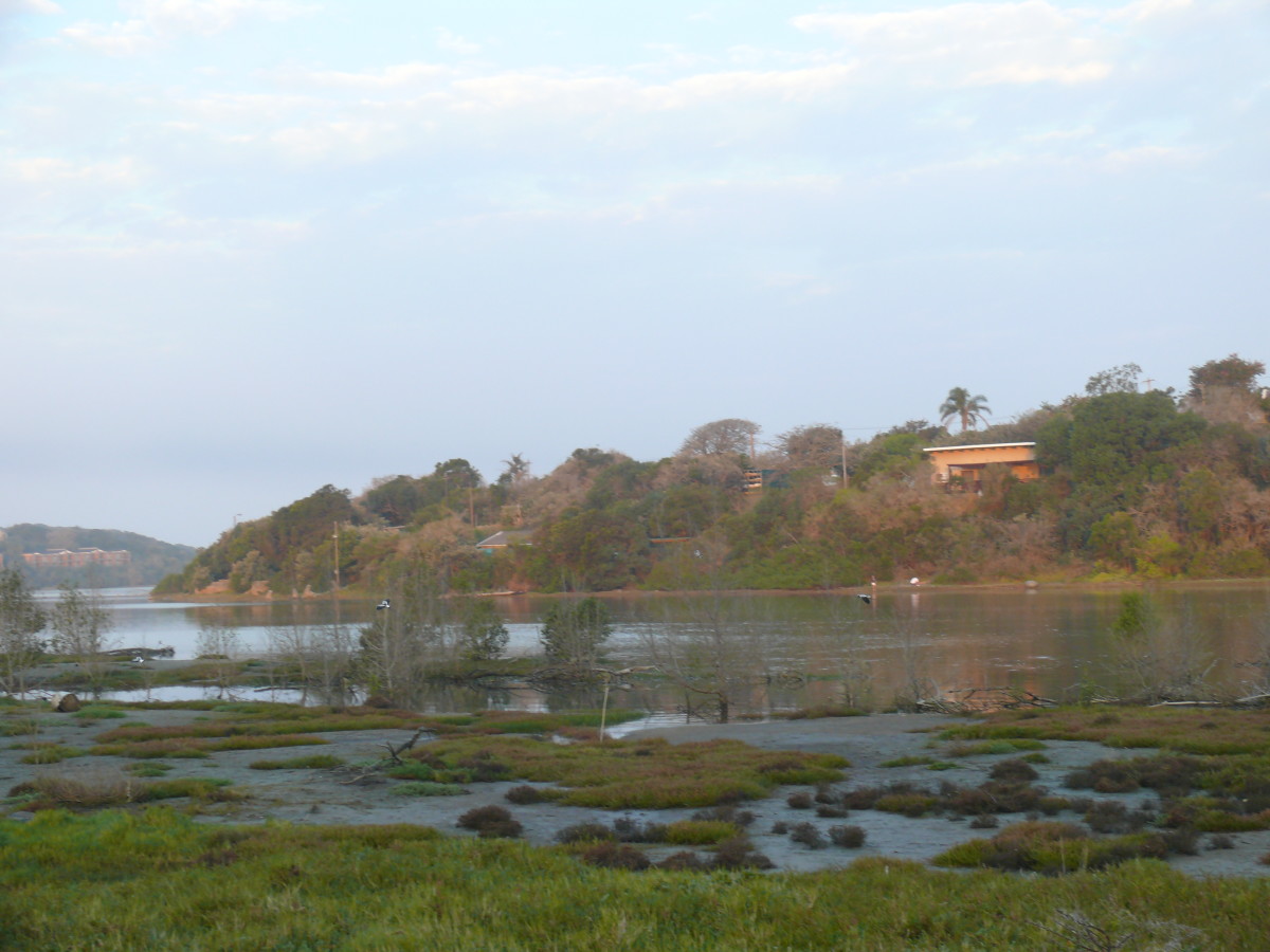 Nahoon Nature Reserve: An Urban Gem - HubPages