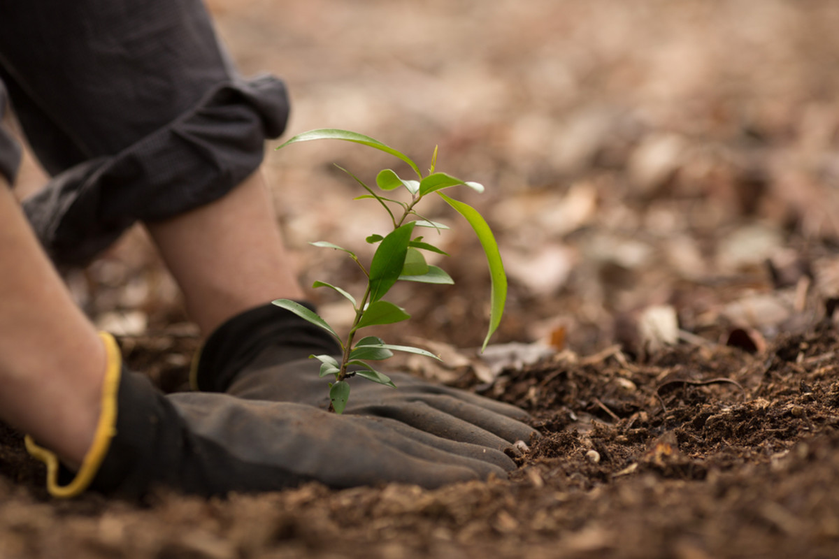 The Heat Is On: Unpacking Climate Change and How We Can Cool It Down ...