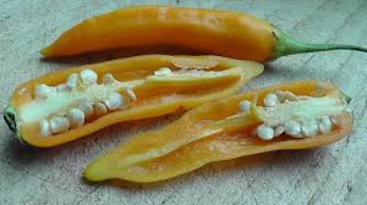 Top Twenty Health Benefits of Green Chilies - HubPages