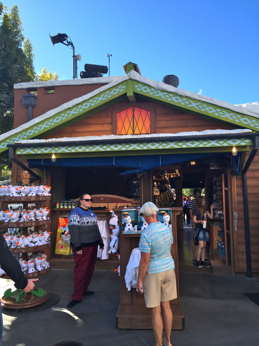 Frozen Fun At Disneyland - HubPages