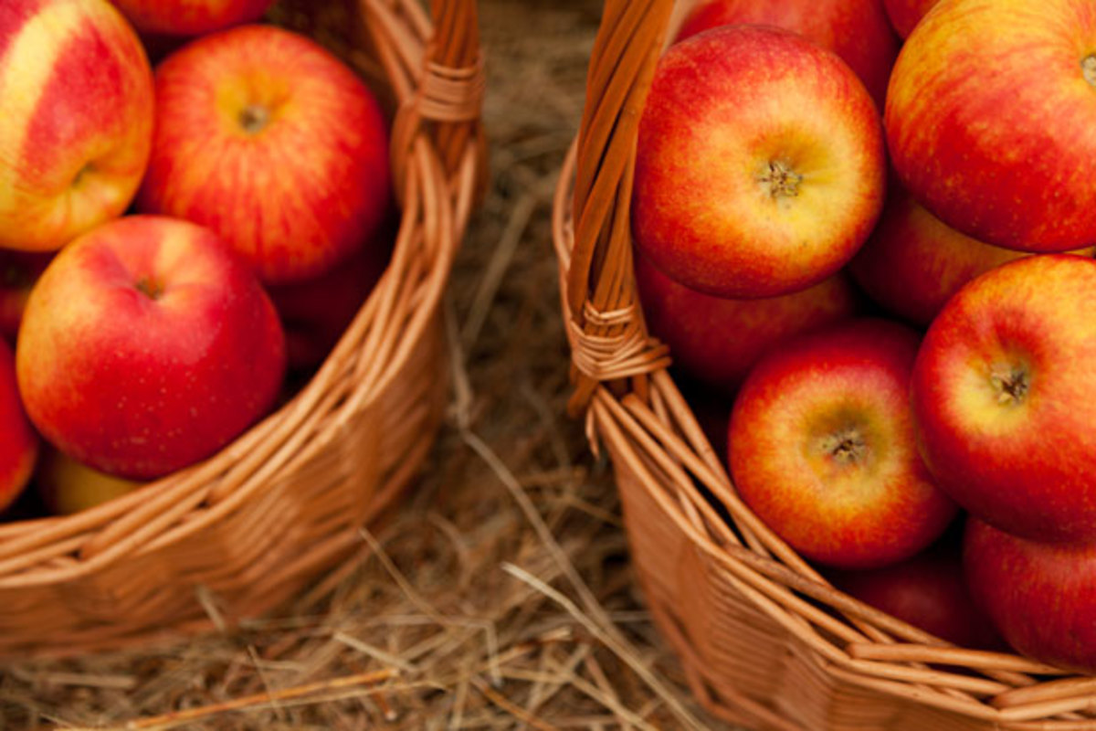 Apple Dessert Recipes - HubPages