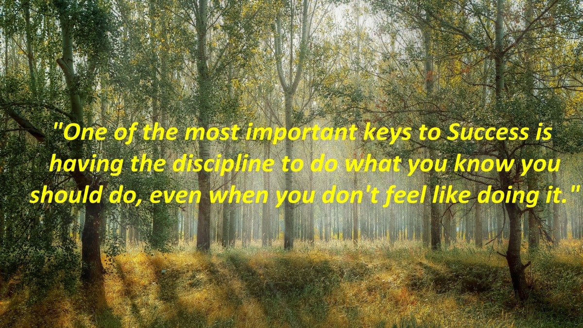 Choose Discipline Over Motivation - HubPages