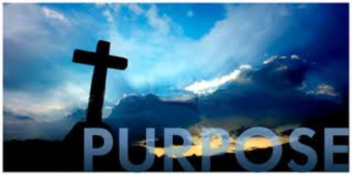 What's Your Purpose? - HubPages