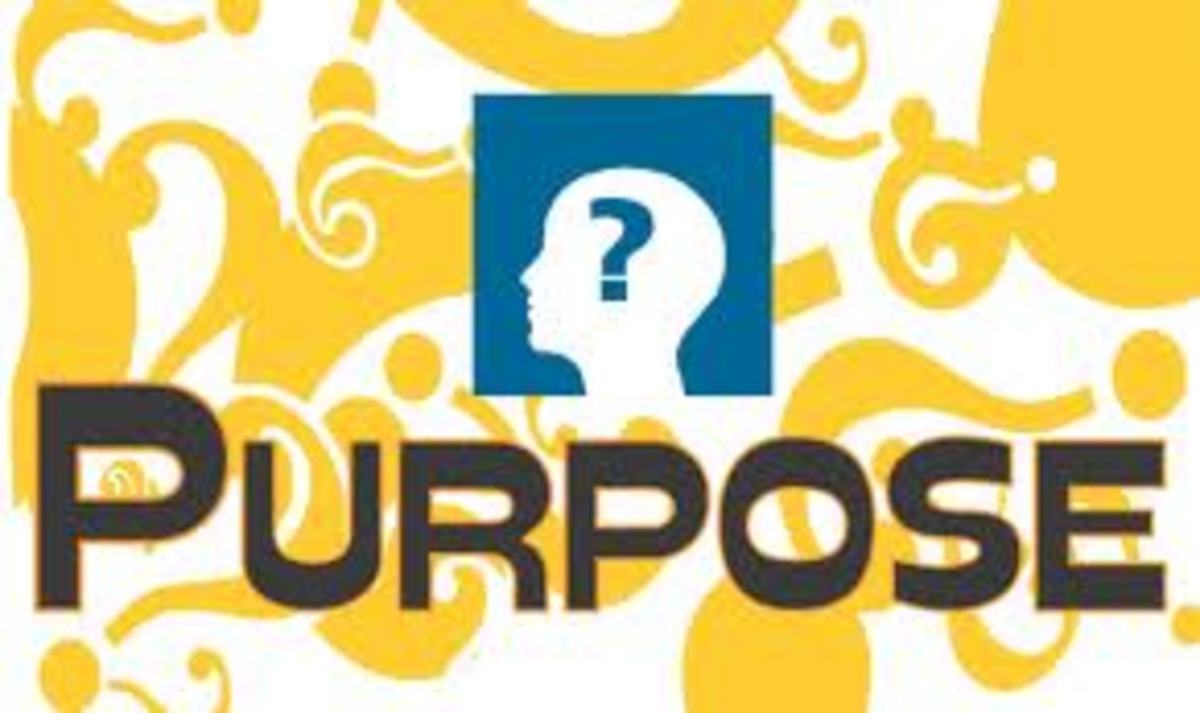 What's Your Purpose? - HubPages