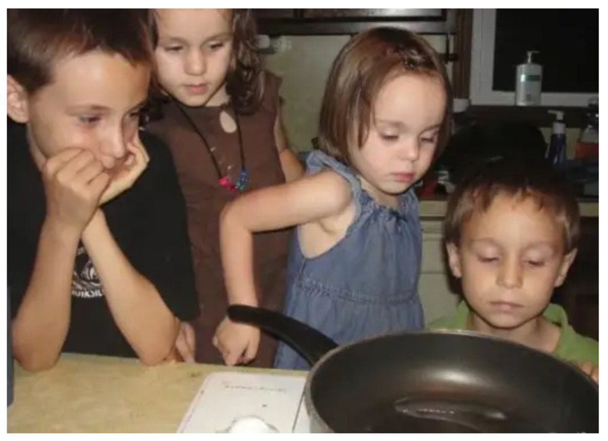 Fun CC Cycle 2 Lessons and Book Ideas for Home - HubPages