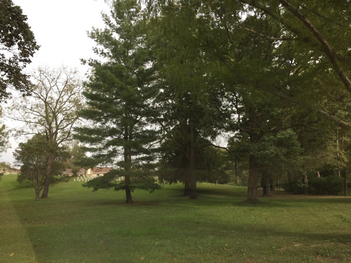 Christ Cosmic Moon Light Dance - HubPages