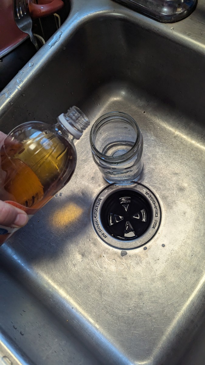 Bug Jar - Trapping Tiny Fruit Flies - HubPages