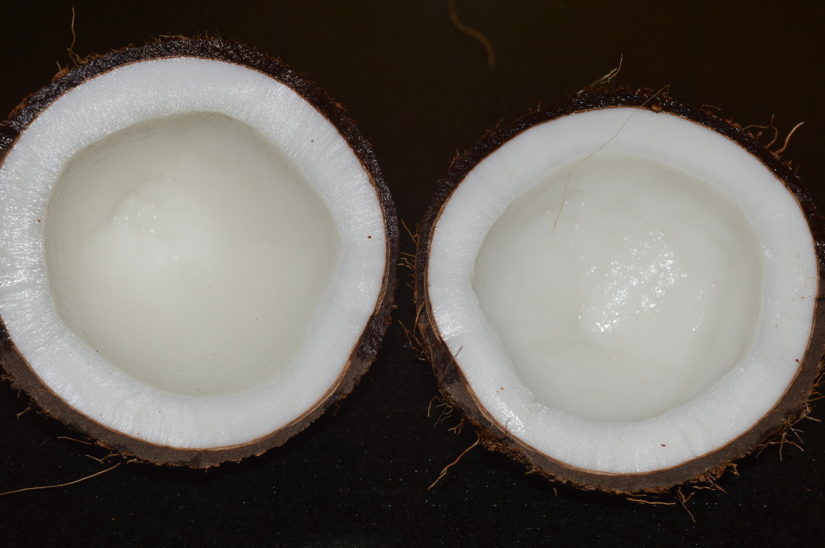 Health Benefits of Tender Coconut, Coconut Meat, Coconut Oil, and ...