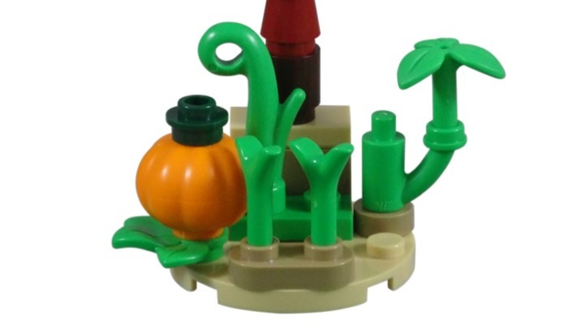 Lego City Farm Garden and Scarecrow Polybag 30590 Review - HubPages