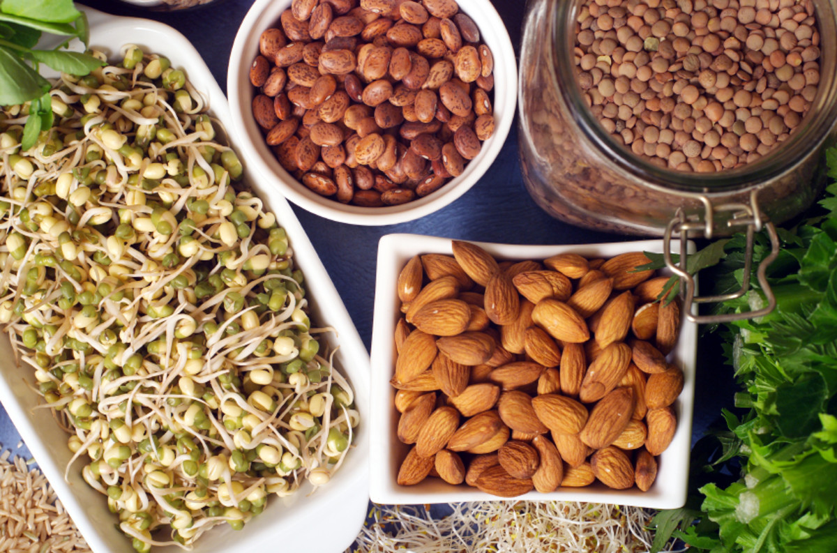 Why Should I Eat Less Meat? - HubPages