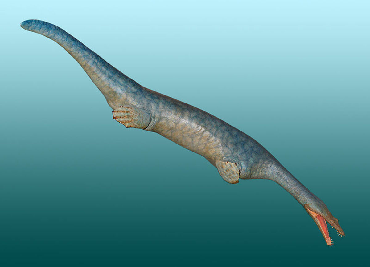 Prehistoric Sea Animals That Roamed the World - HubPages
