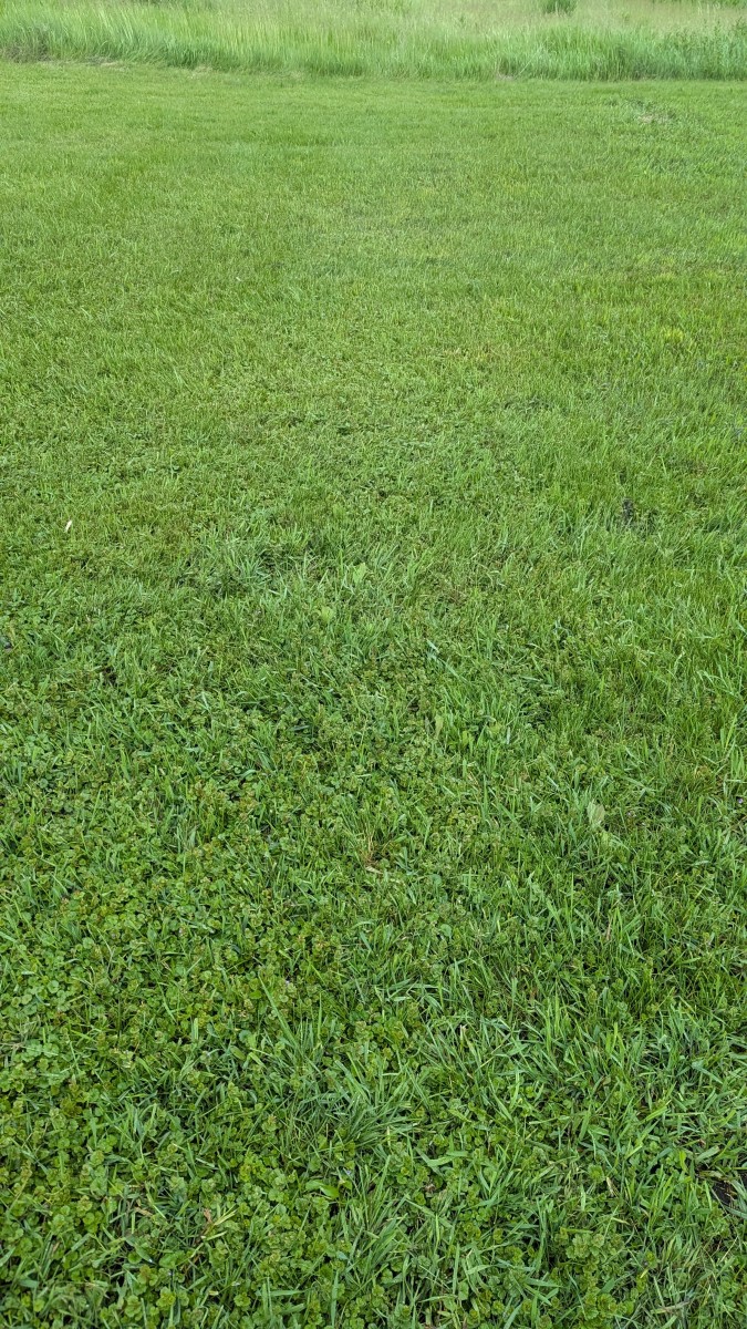 Garden Tilling - Clearing a Grassy Spot - HubPages