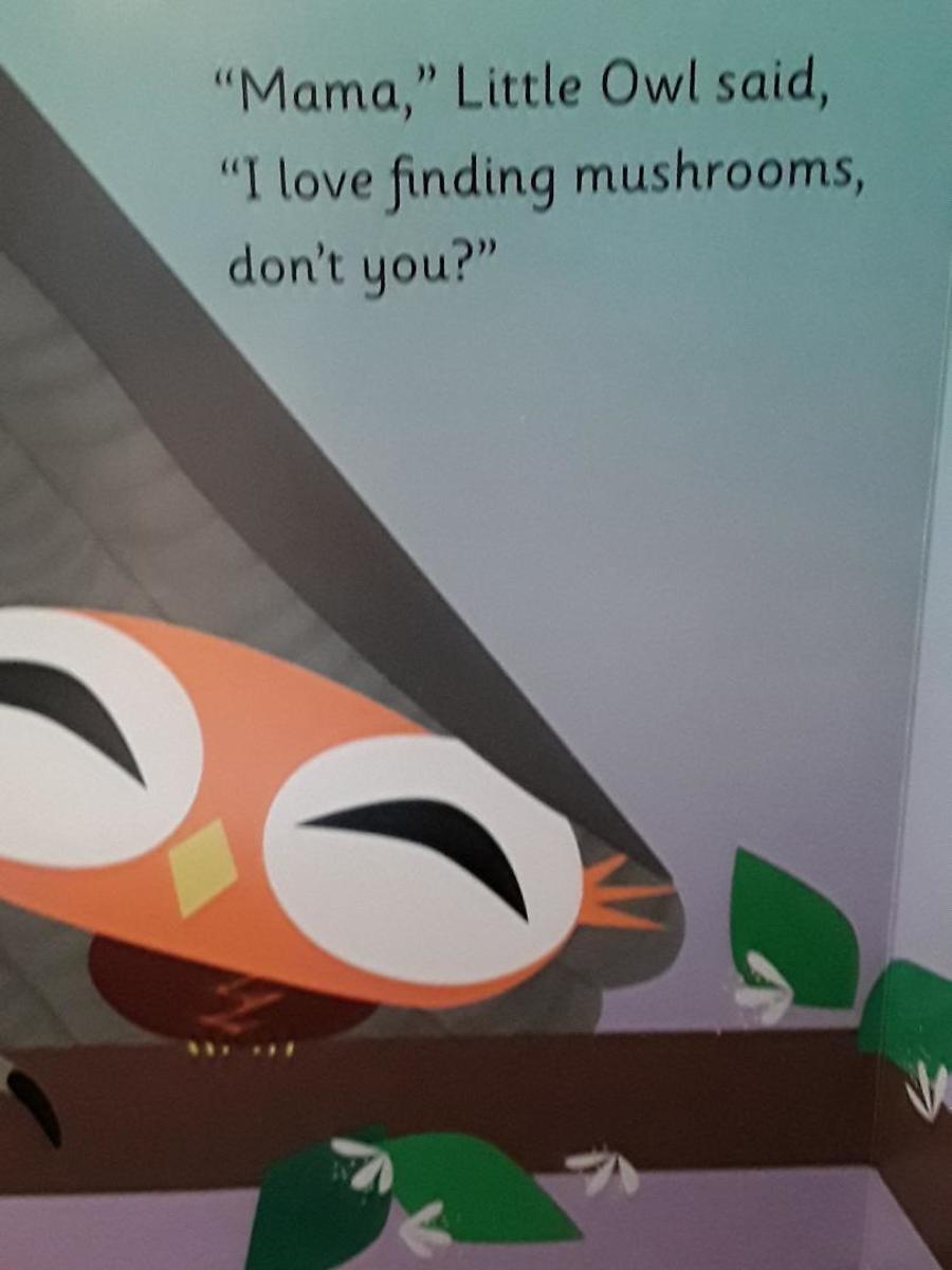 Board Books with Variety of Topics for All of the Youngest Readers ...