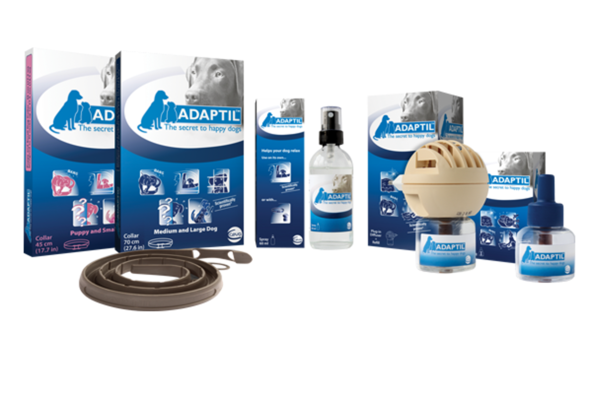 Calm your Dog with a DAP Diffuser, Collar, or Spray From Adaptil - HubPages