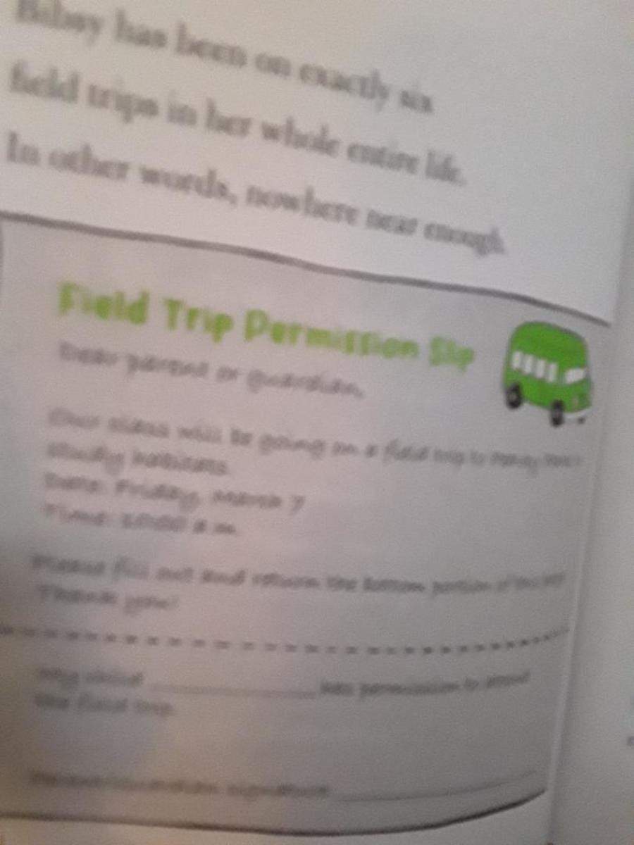 Adventures with Charming Character Bibsy Cross in 3 Chapter Books for ...