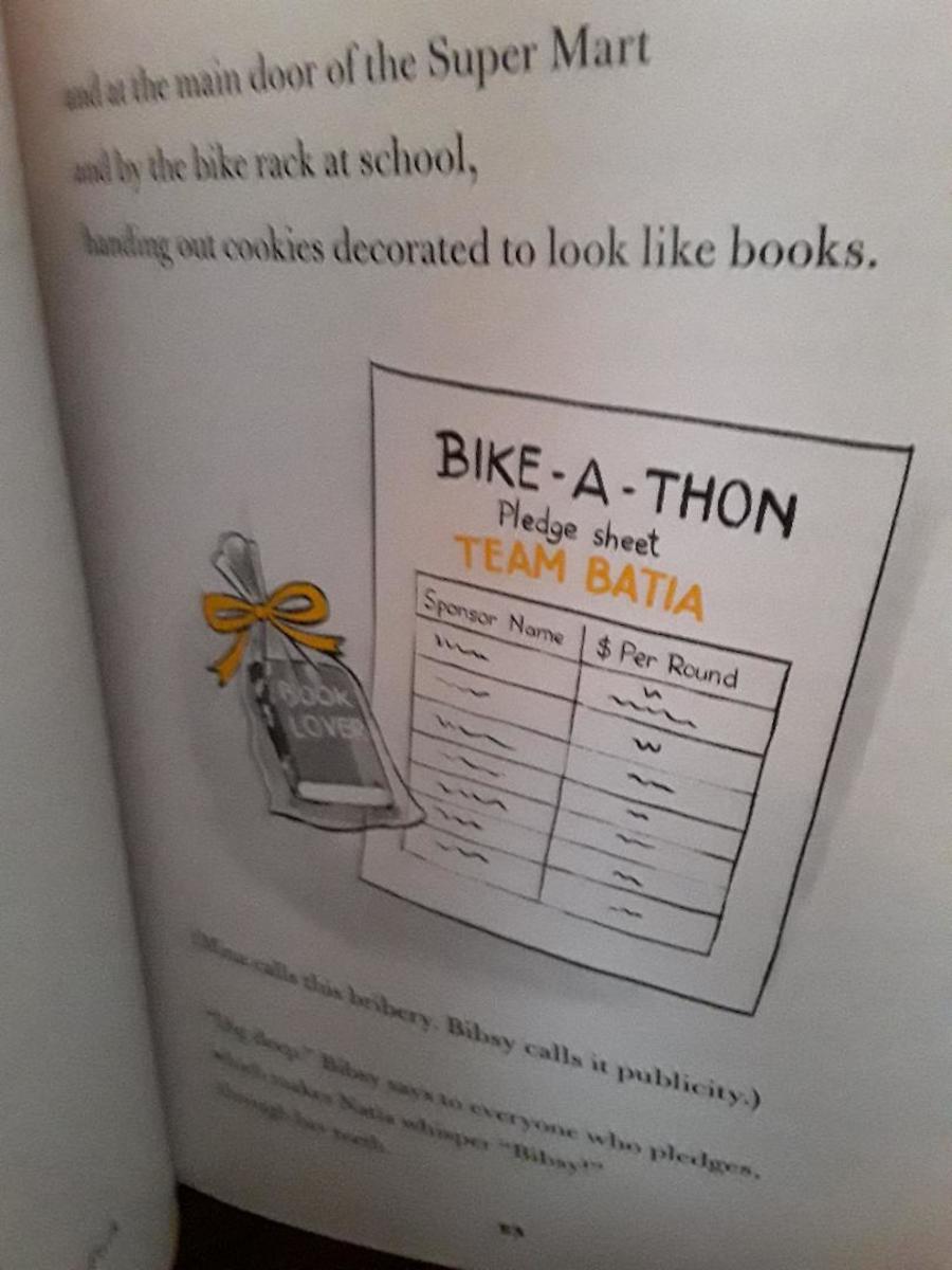 Adventures with Charming Character Bibsy Cross in 3 Chapter Books for ...