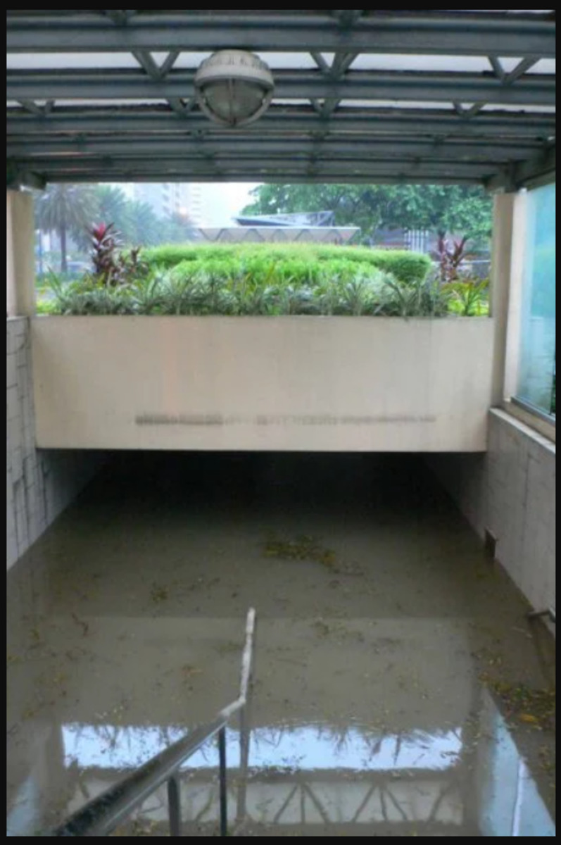 The Face of Disaster, Typhoon Ondoy in the Philippines - HubPages