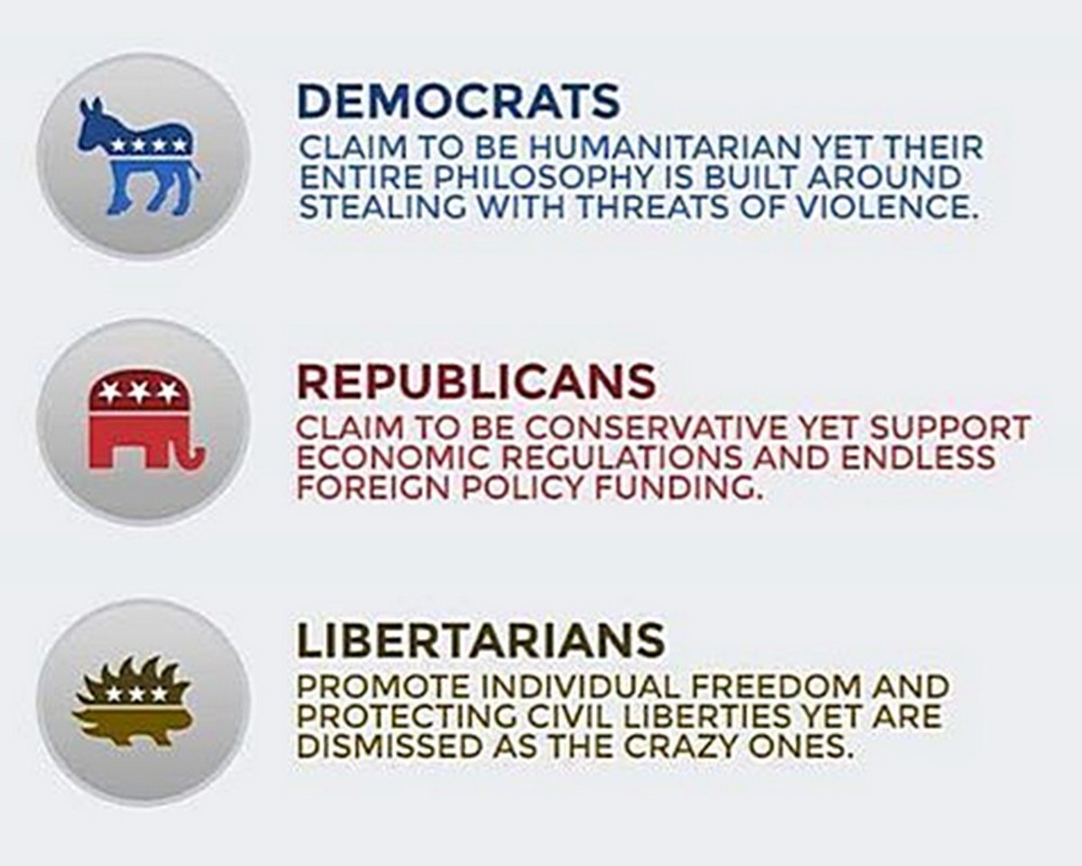 Post-mortem: How to Run Libertarian Political Campaigns - HubPages