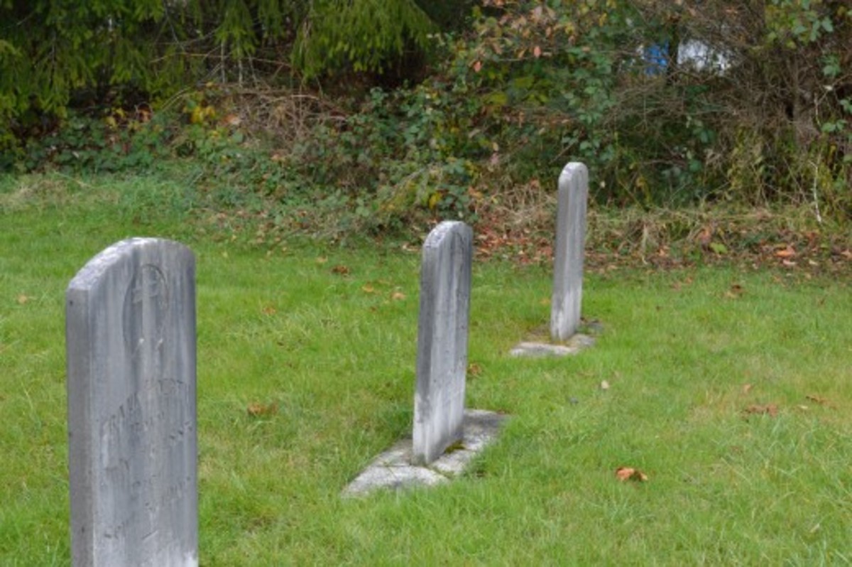 My Journey to Bhimtal in the Himalayas and a Trip to My Ancestral Place ...