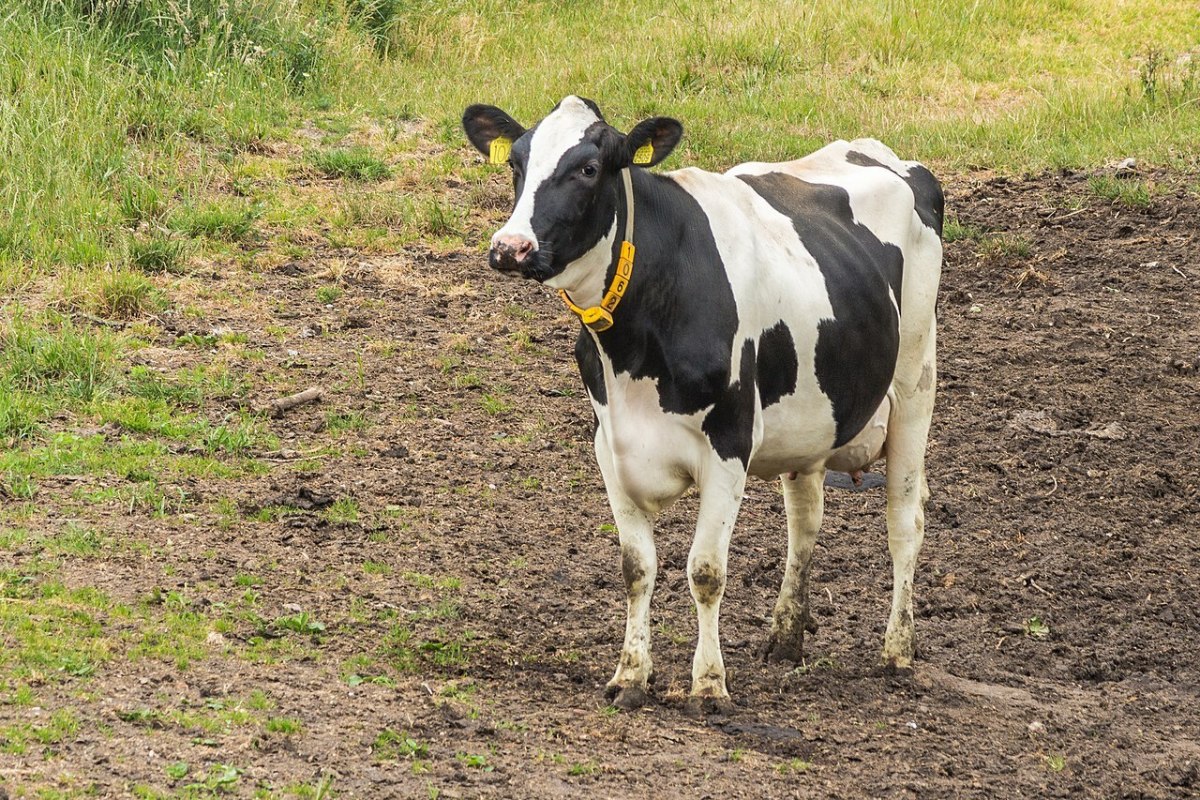 Crimes Committed by ETs Extraterrestrial Aliens - HubPages