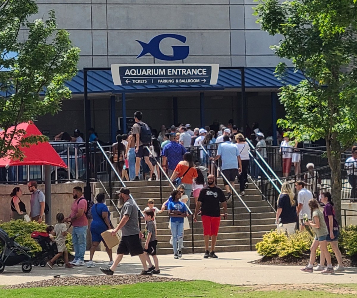 Kelly Tours Day Trip to the Georgia Aquatic Center in Atlanta - HubPages