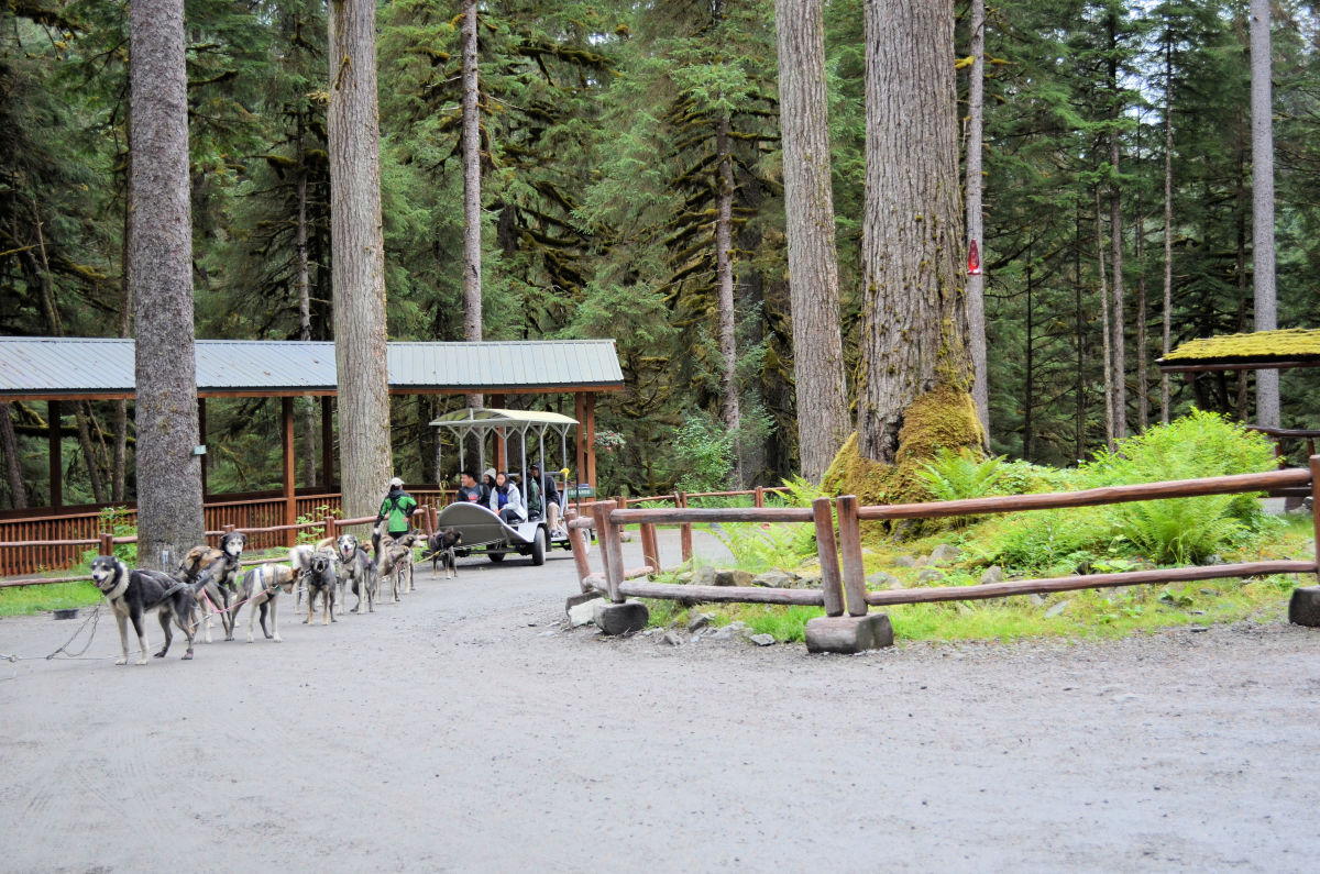 Cruising the Last Frontier - Alaska - HubPages