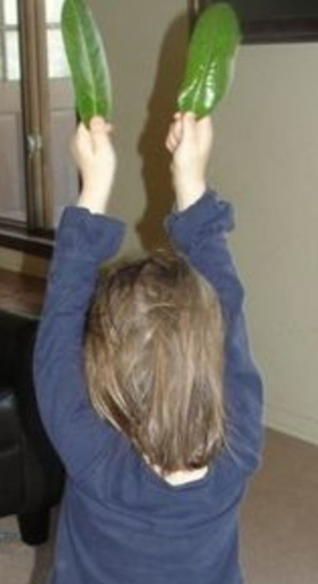 Seeds and Germination Lesson Plan on Plants for Elementary - HubPages