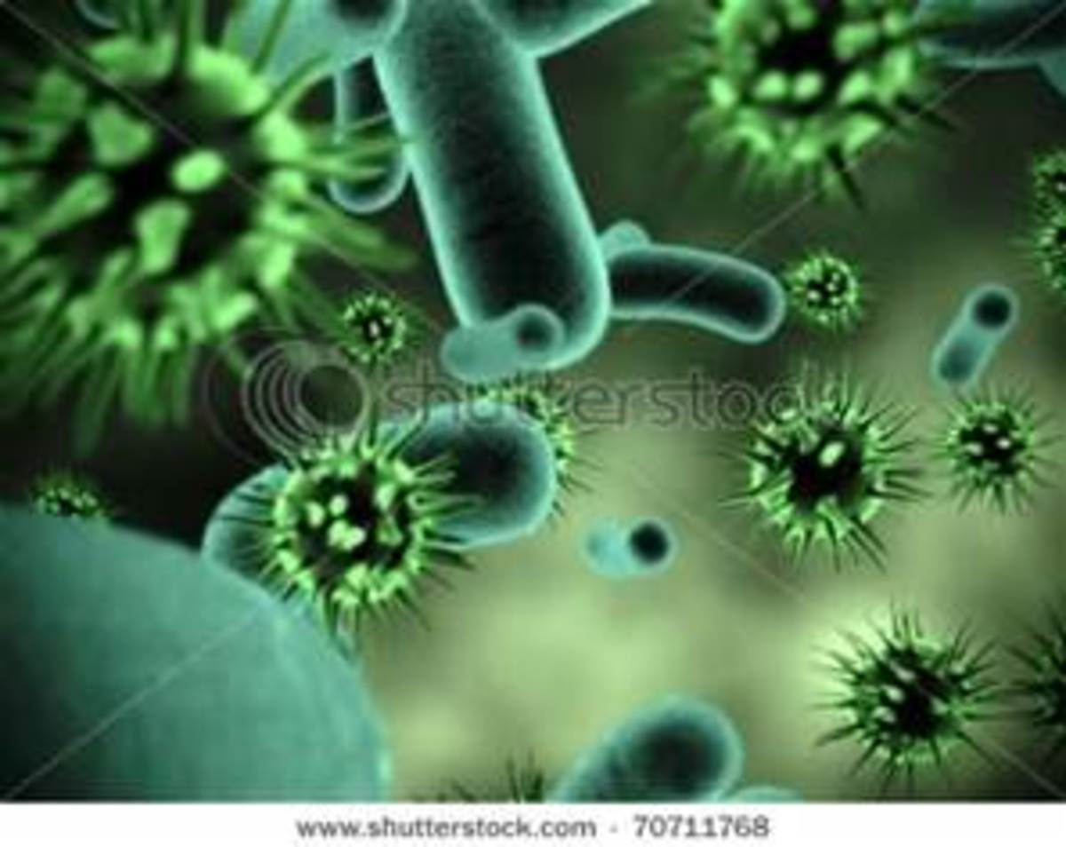 The Top 5 "Invisible" Diseases - HubPages