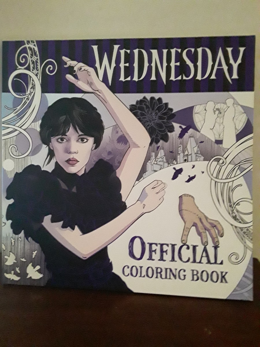 The Wednesday Thing with Favorite Character Wednesday Addams in 3 Piece ...