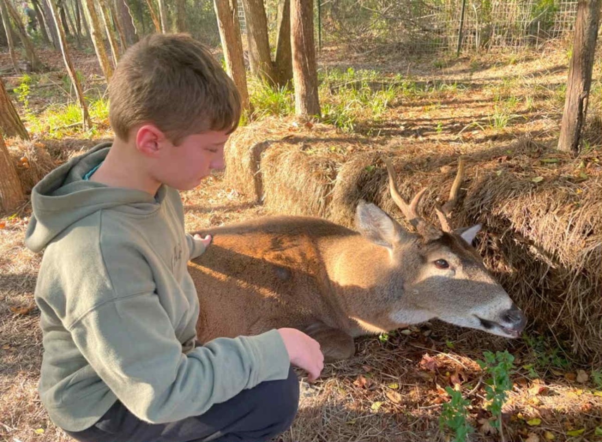 Justice for Little Buck - HubPages