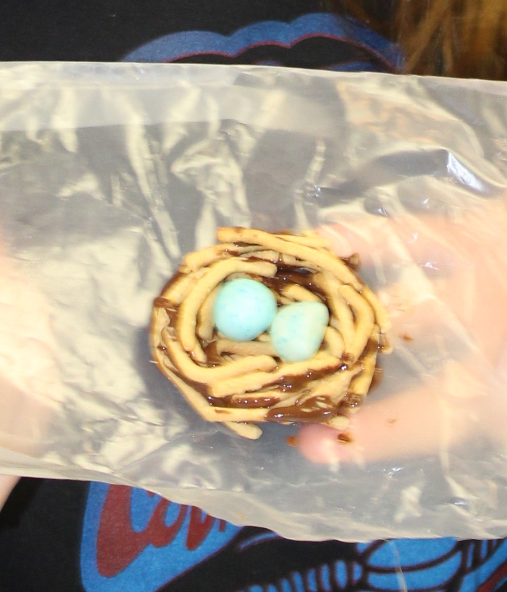 Birds Lesson Plan for Elementary Ages - HubPages