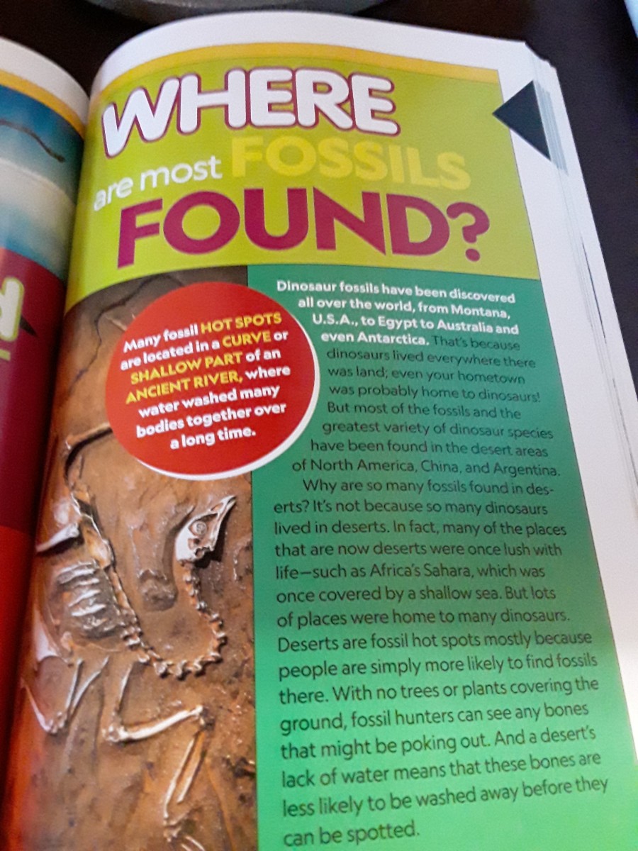 Storms, Dinosaurs, and Kids' Almanac 2026 in Collection of Books from ...